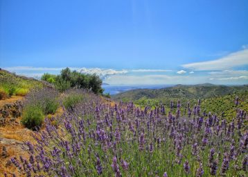 Velo Grablje | Island Hvar | Hvar map