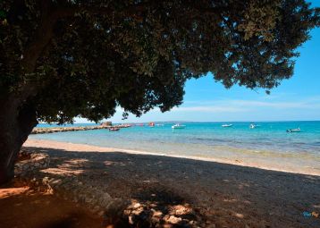 Gajac, Island Pag | Apartments | Zrće & Novalja